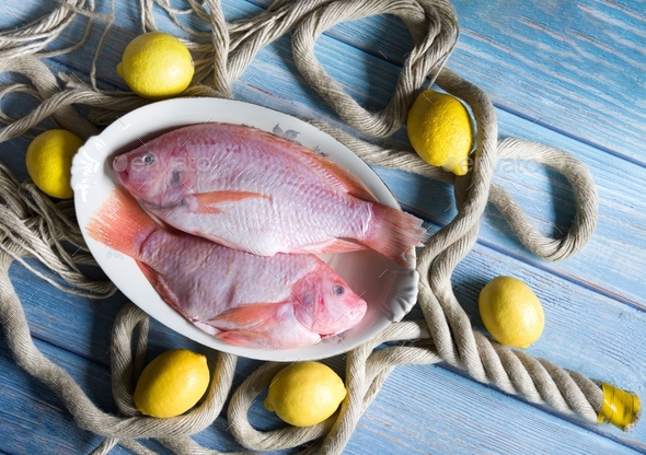 Pink tilapia on a plate in rope loops, against a background of blue ...
