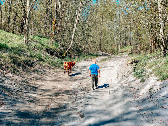 Going for a walk Stock Photo by mrsaustin92 | PhotoDune