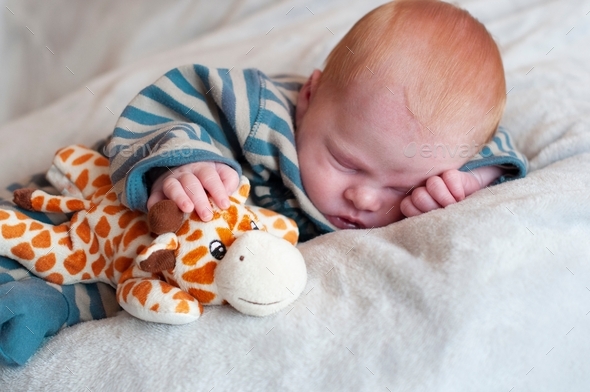 cute ginger little baby sleeping hugging toy plush giraffe, Stock Photo ...