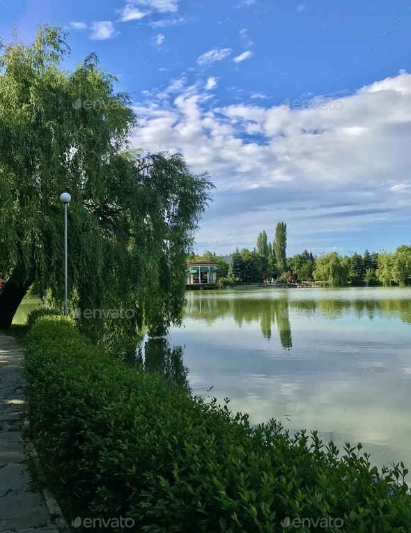 Water pond || Trees || Tree || Bushes || Bush || Cloudy sky || Blue ...