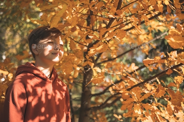 Autumn portrait of teenager boy with shadows on face of oak leaves ...