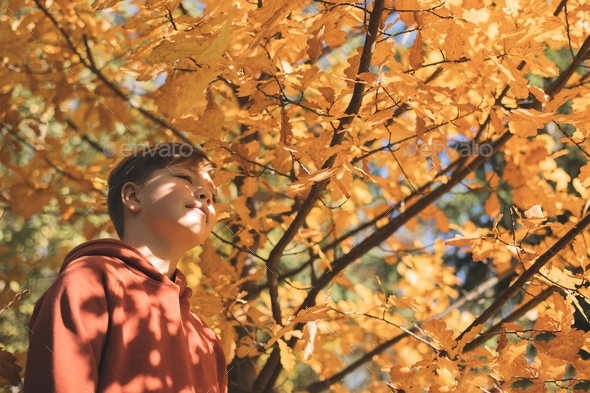 Autumn portrait of teenager boy with shadows on face of oak leaves ...
