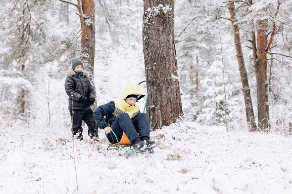 Happy children sledding down in winter forest. Teenager boys having fun ...