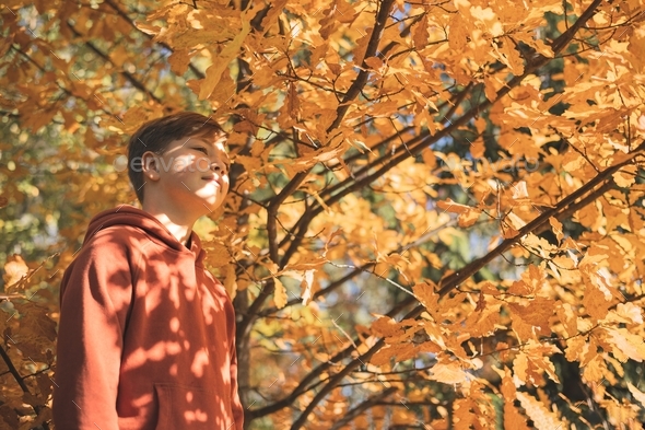 Autumn portrait of teenager boy with shadows on face of oak leaves ...