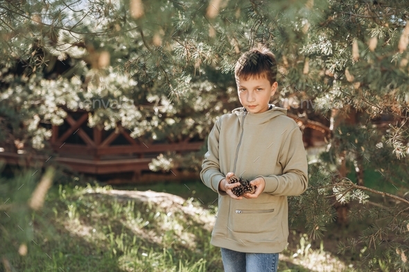 Portrait of child holding pine cones in forest. Teenager boy walking in ...