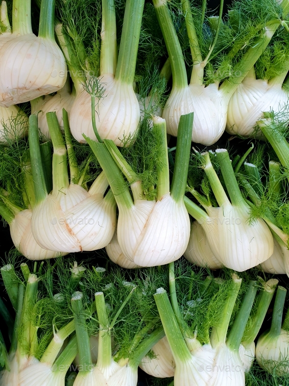 fennel food at market stall, full frame background Stock Photo by ...