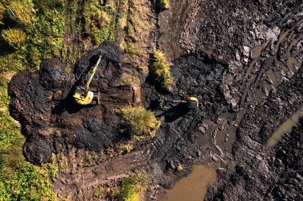 Crawler excavators cleans the pond of silt and algae. Earthworks ...