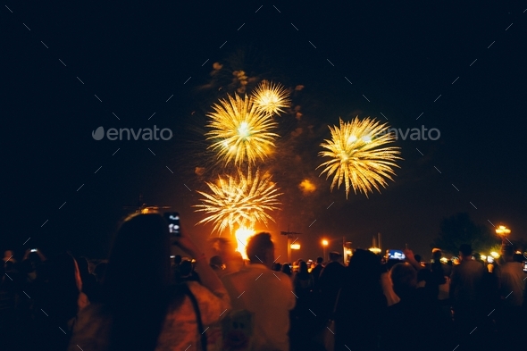 Fireworks light up the sky, Independence Day celebration. Night show ...