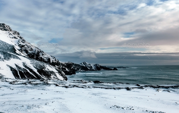 atlantic ocean coast in Iceland in winter Stock Photo by iripetrakova