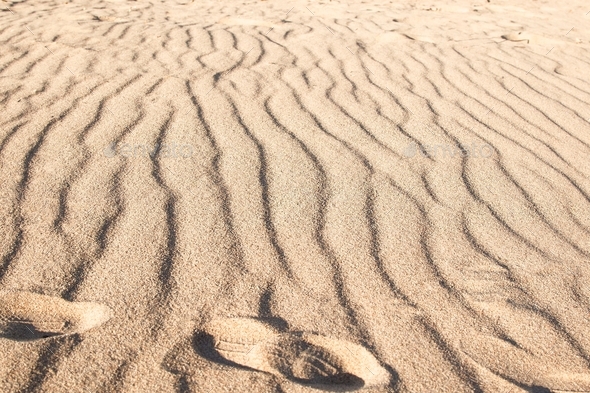 Rippled small sand on sea coast. Dunes on beach formed by wind and ...