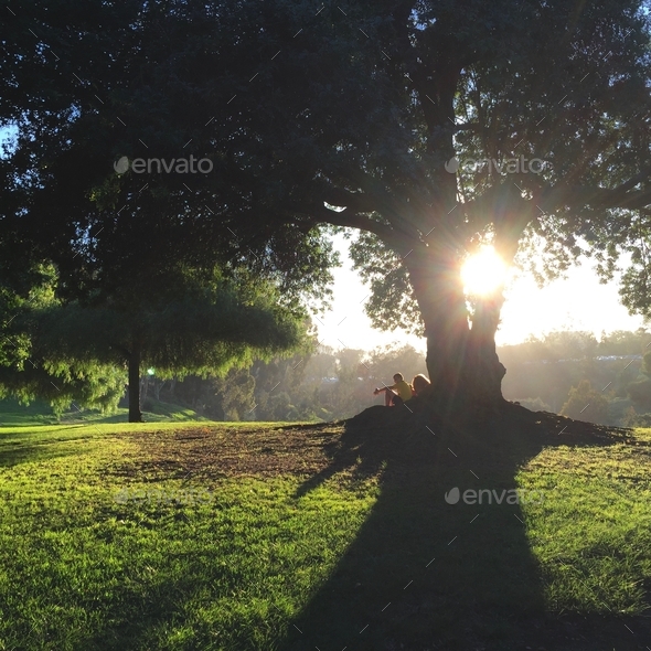 Two people sitting in natural light and shadow, outside on a grassy ...