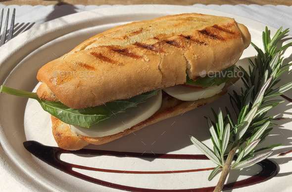 Classic Italian sandwich Stock Photo by TonyTheTigersSon | PhotoDune