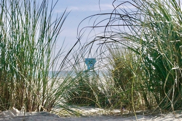 Beautiful beach scene looking over the berm and through the beach grass ...