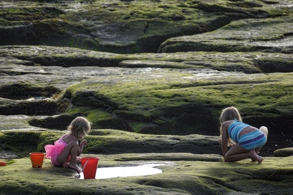 Kids playing in the tide pools Stock Photo by TonyTheTigersSon | PhotoDune