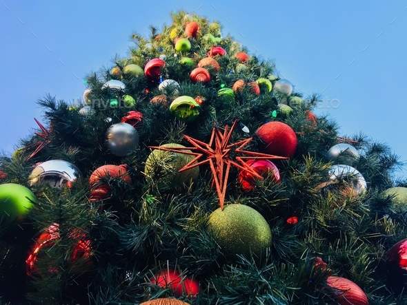 Beautiful and huge Christmas tree standing tall into the beautiful blue ...