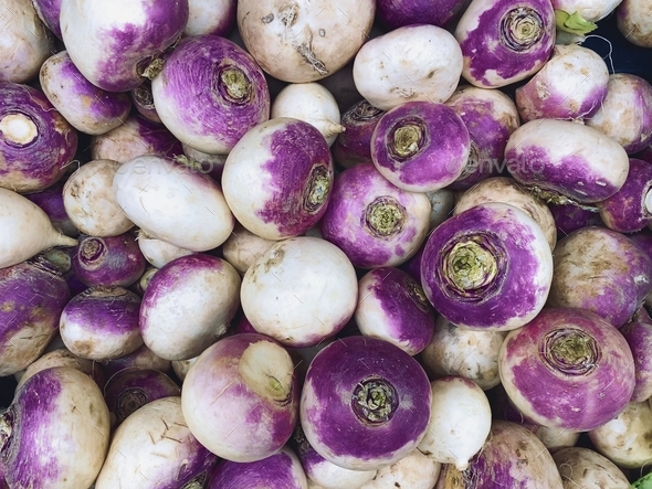 Beautiful, organic, natural, purple turnips background for text or ...