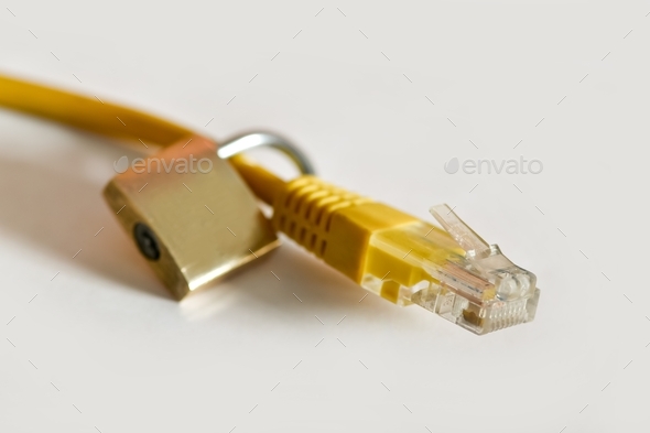 The network connector on white background. The LAN deconstructs the ...