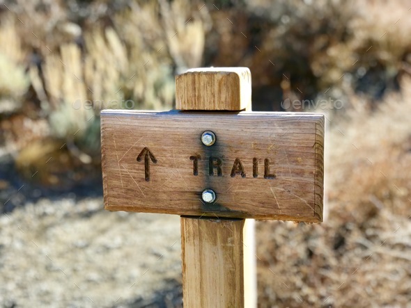 Wooden trail head sign with an arrow pointing towards the hiking trail ...