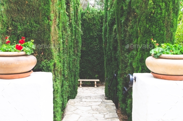 Symmetrical path in a garden surrounded by tall Cyprus trees and ...
