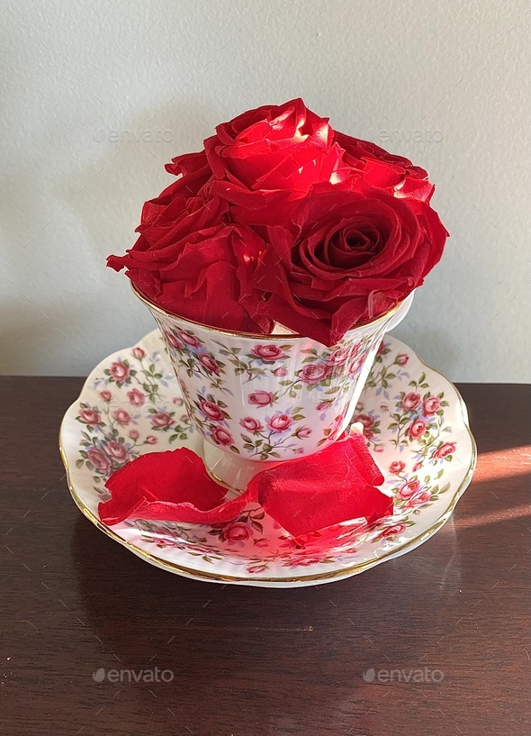 Teacup full of red rose in sunlight Stock Photo by melpaul199 | PhotoDune