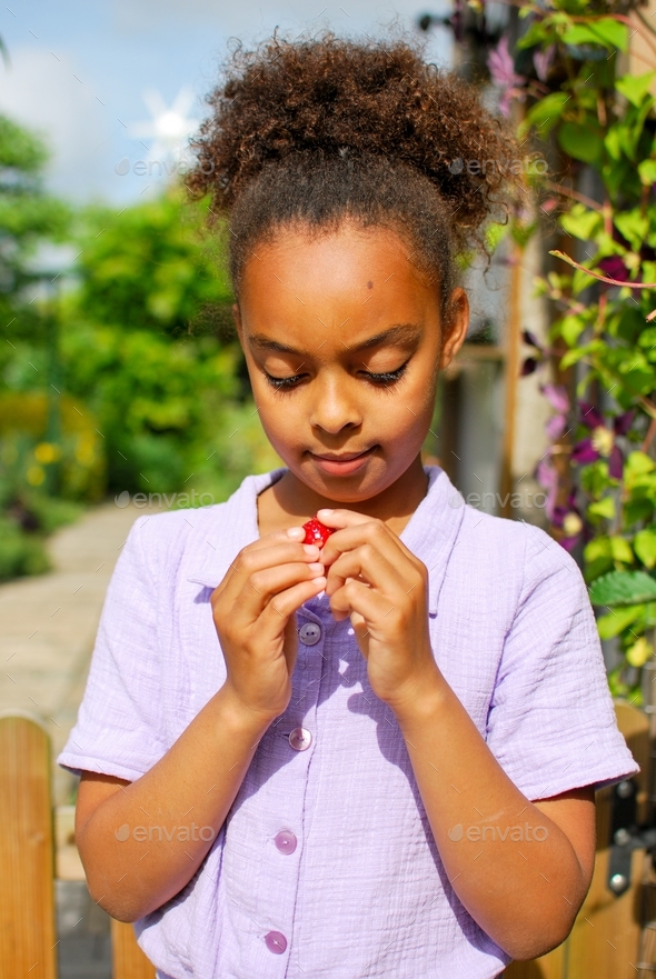 Generation Z girl of mixed race eating a strawberry out of the garden ...