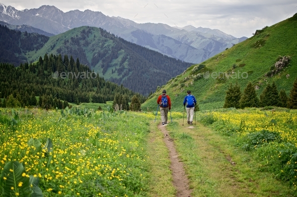 Spring season in the Mountains Stock Photo by Marinabars_photo | PhotoDune
