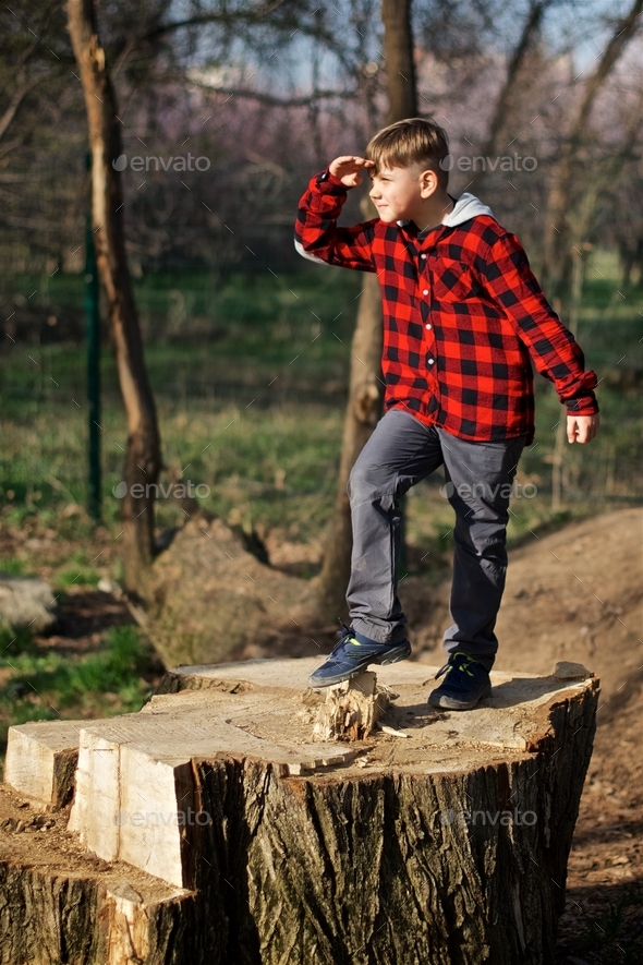 Young boy in the Red checkered shirt standing on the huge tree stump Stock Photo by Marinabars_photo