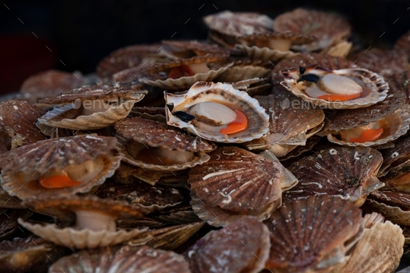 Fresh french scallops on a seafood market at Dieppe France Stock Photo ...