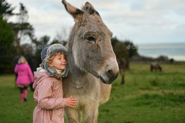 A girl hugging a donkey Stock Photo by o1559kip | PhotoDune