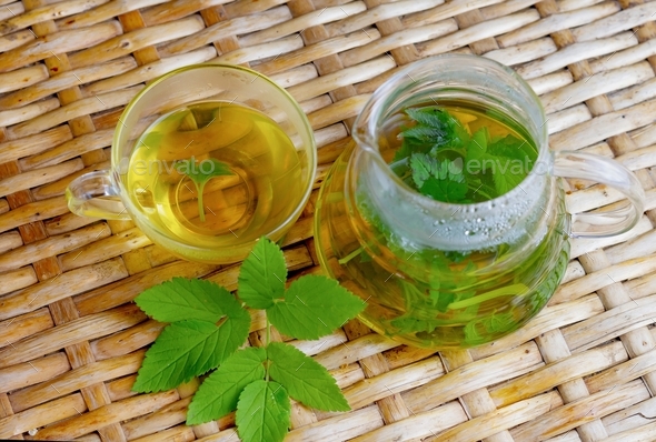 Aegopodium podagraria, also ground elder or gerard's grass, bishop's ...