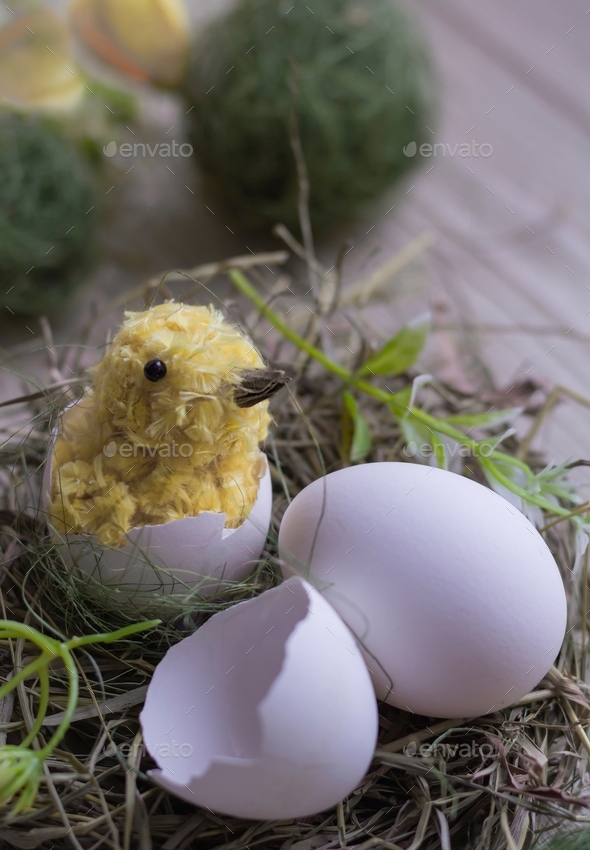 Easter composition with diy chicken made of yarn pom-poms.the beak is ...