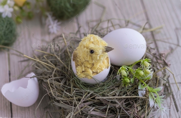 Easter composition with diy chicken made of yarn pom-poms.the beak is ...