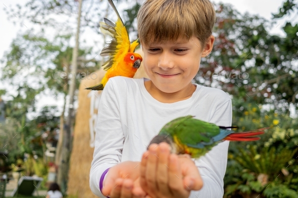 Happy boy is feeding hand birds with grain. Outdoor. Spending time ...
