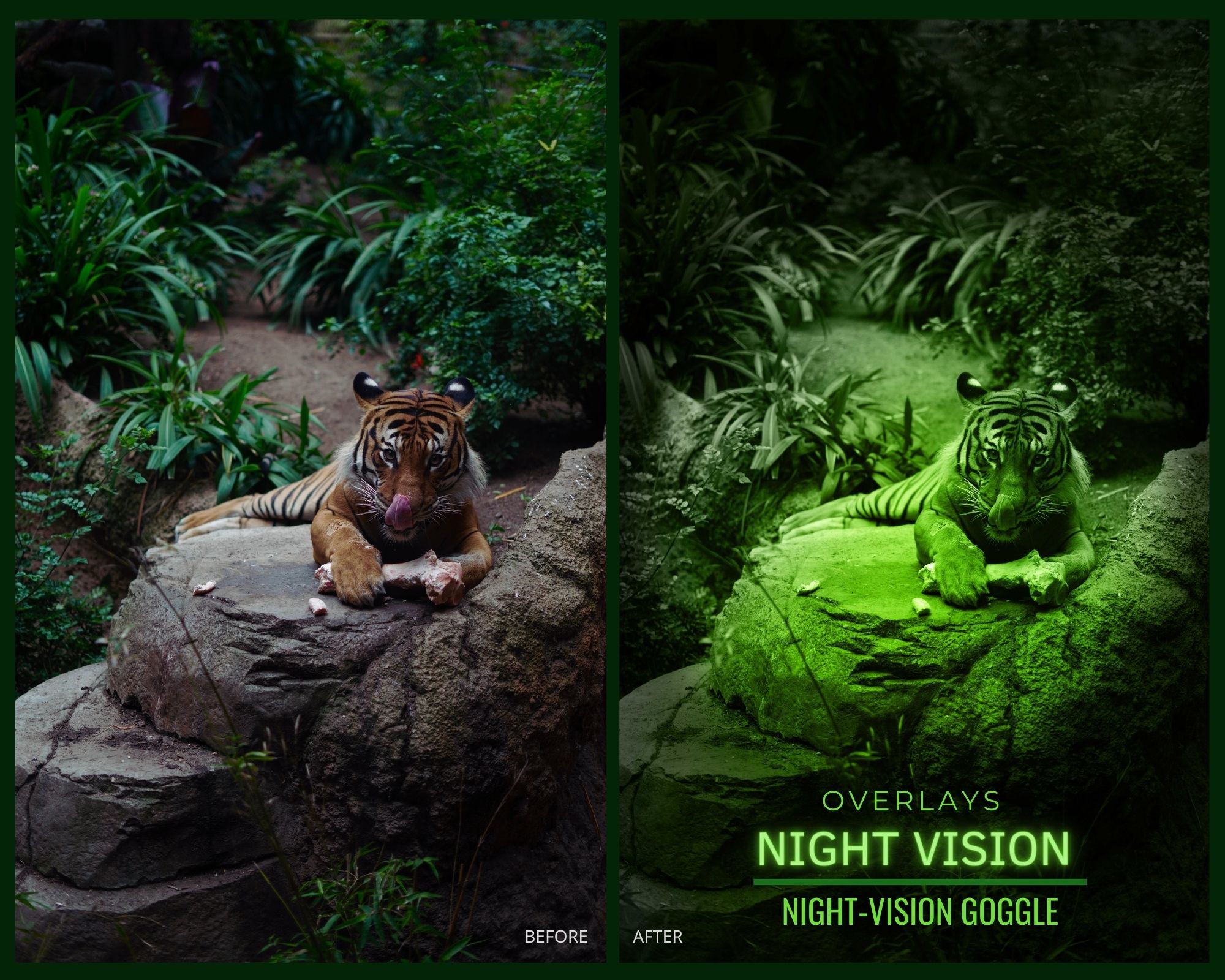 Night Vision Goggle - 200 Overlays, Add-ons | GraphicRiver
