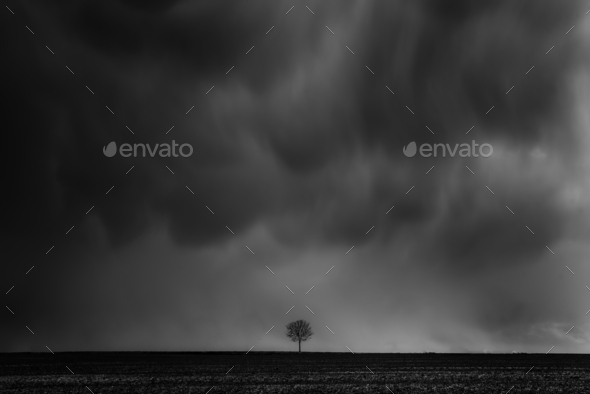 Formation of dramatic clouds over steppe, dramatic sky and trees in the ...