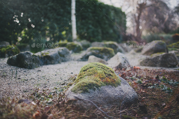 A mossy rock in St. Stephen's Green in Dublin, Ireland Stock Photo by ...