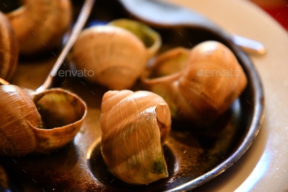 Close-up Escargot dish from cooked edible land snails with greens and ...