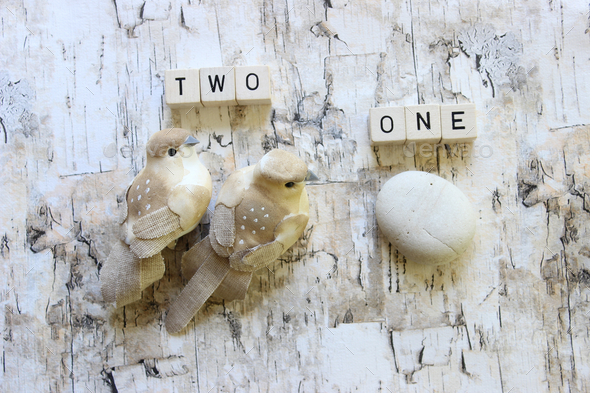 Two birds with one stone concept Stock Photo by MPPLLC45 | PhotoDune