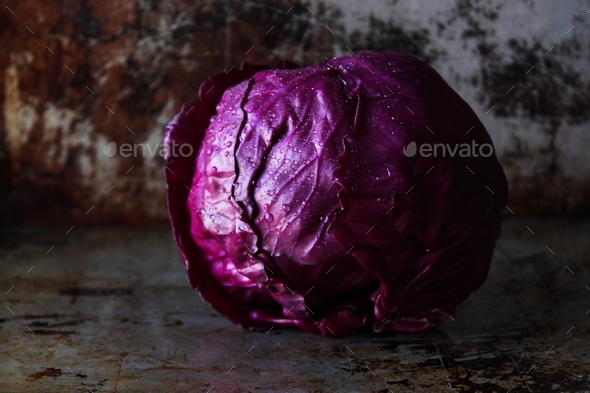 Rustic dark red cabbage Stock Photo by MPPLLC45 | PhotoDune