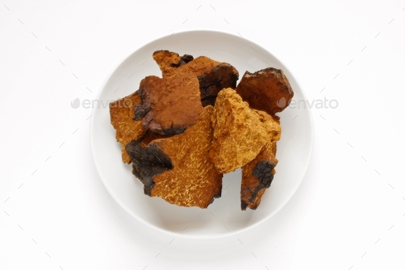Chaga chunks Stock Photo by MPPLLC45 | PhotoDune