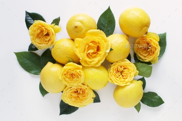 Lemons and yellow roses with greens still life Stock Photo by MPPLLC45