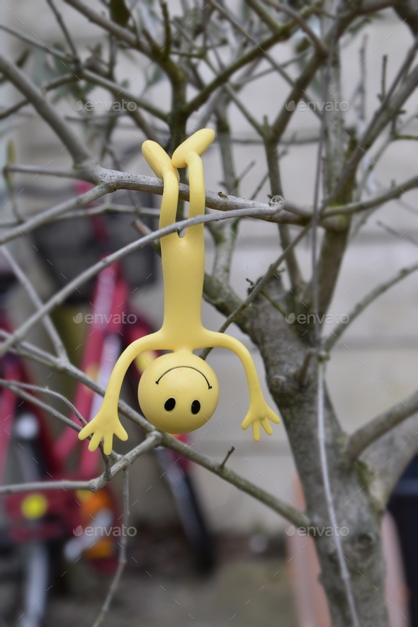 Hanging upside down Stock Photo by andreajoseph2011 | PhotoDune