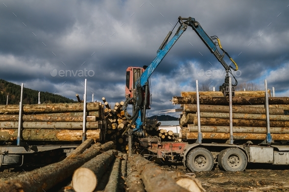 Crane loading wood into wood truck with big piles of timbers in ...