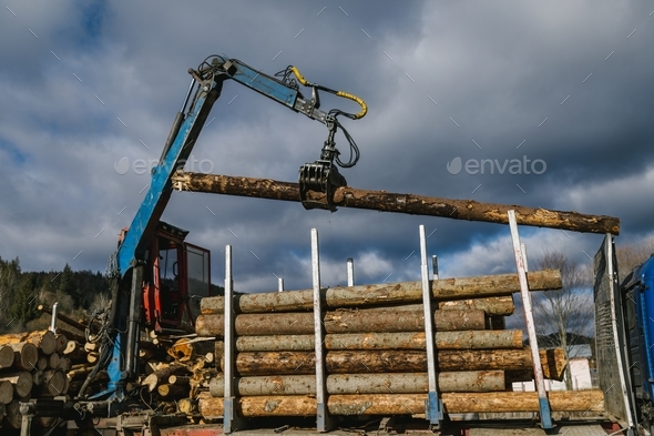 Crane loading wood into wood truck with big piles of timbers into trunk ...