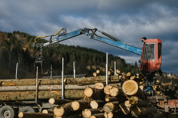 Crane loading wood into wood truck and the wood grapple hook moving in ...