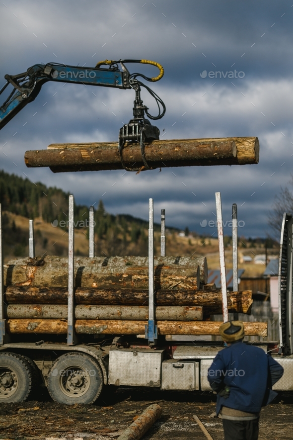 Crane loading wood into wood truck and the wood grapple holding a log ...