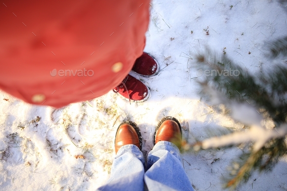 Feet in the snow. 2 pairs of feet in shoes. Photo of legs from above ...