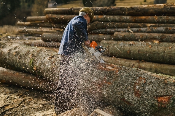 Detail of a woodworker cutting the wood and sawdust flying around with ...
