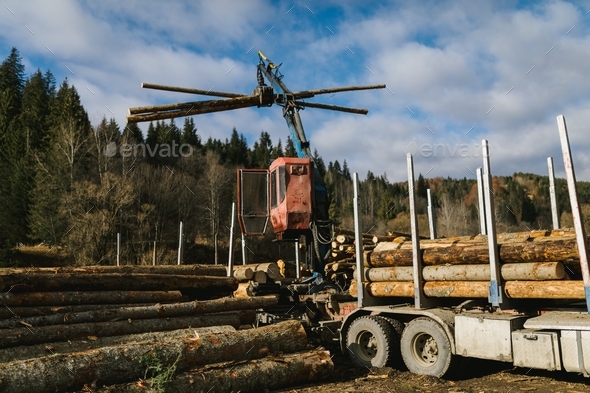 Crane loading wood into the wood truck and the wood grapple holding ...