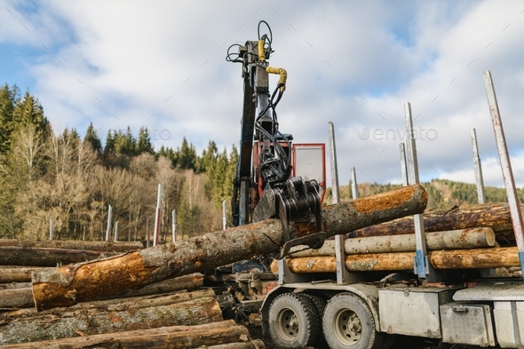 Crane loading wood into wood truck and the wood grapple holding logs in ...
